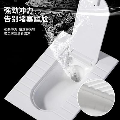 带盖板隐藏形一体翻盖陶瓷蹲便器水箱套装蹲坑家用大便防臭蹲厕
