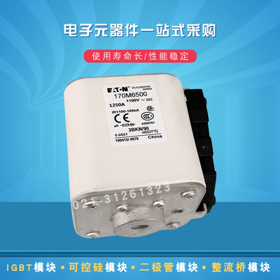 巴斯曼快速熔断器170M6500 6501 6512 6503 6508 6509 6510 6511