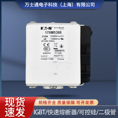 全新熔断器现货170M5388/5389/5390/5391/5392/5393