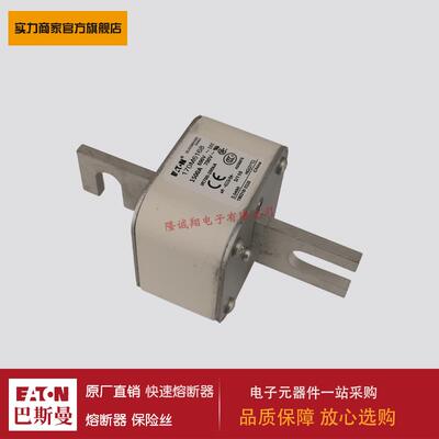 熔断器170M6168 170M6169 170M6170 170M6171 170M3208 170M3209