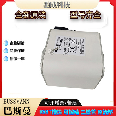 巴斯曼170M6496 170M6497 170M6498  低压保险丝诚信经营货源充足