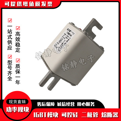 170M5986 170M5987 170M5988 170M5989巴斯曼保险丝170M5990现货