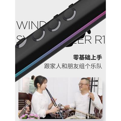 正品Robkoo/Long u电n Technology R1真采样电风管国产电子X管乐