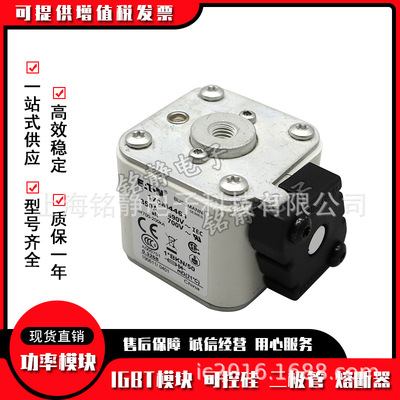 170M4463 170M4464 170M4465巴斯曼熔断器现货170M4466型号齐全