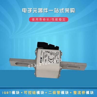 巴斯曼快速熔断器170M3768 3769 3770 3771 3772 3773 3808 0809