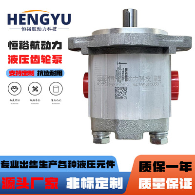 布赫高压油泵BUCHER齿轮泵AP100/1.2 AP212/4.5D AP300/27D液压泵