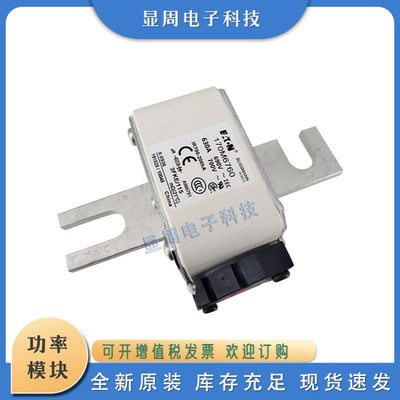 全新保险丝熔断器170M6760 170M6761 170M6762 170M6763 170M6764