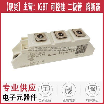 原装西门康SKKD100/16 SKKT162/16 132/16 200/16E功率可控硅模块