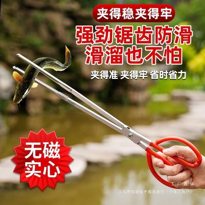 2025新款无磁不锈钢黄鳝夹子鳝鱼夹泥鳅螃蟹龙虾夹赶海火钳垃圾夹