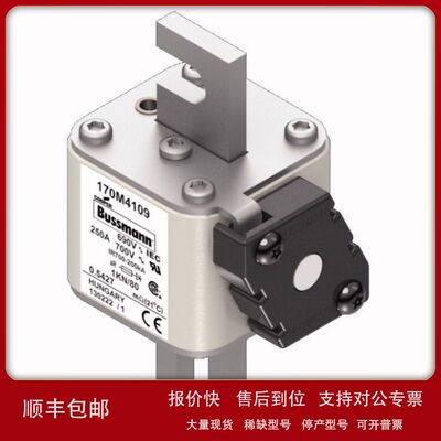美国Bussmann熔断器170M4111议价