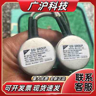 GSI GROUP振镜电机 000-3008538议价