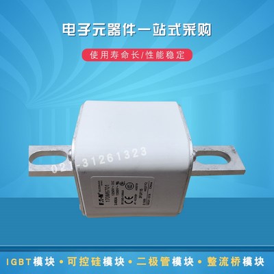 快速熔断器保险丝170M6701 6708 6709 6710 6711 6712 6713 6714