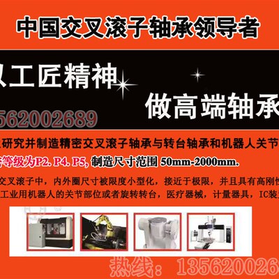 高精度交叉滚子轴承RE19025 RE20025 RE20030数控机床P5 P4 P2