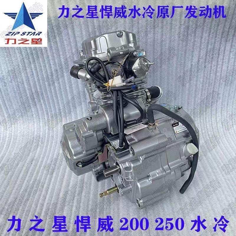 力之星三轮摩托车 水冷 捍威 原厂发动机200 250手动离合机头