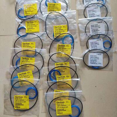 1510111 系列的密封丹佛斯达库存现货