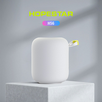 HOPESTAR H56无线蓝牙音箱户外防水迷你重低音炮插卡Homepod mini