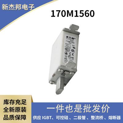 FWJ-70A   FWJ-80A   FWJ-90A    FWJ-100A原包直流熔断器 熔芯