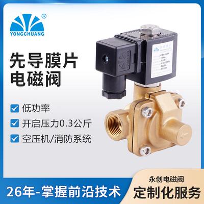 YCB31先导膜片式电磁阀新型水阀AC220VDC24V电磁阀厂家