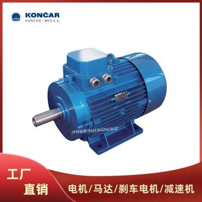 荷兰KONCAR电机马达电动机 5AZ63A-2 5AZ71B-4 5AZ80A-2 7AZ90L