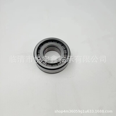 SL045008PP SL045009PPSL045010PP SL045011 PP 装满圆柱滚子轴承