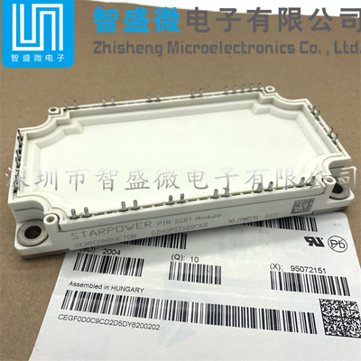 GD40PIT120C6S       IGBT功率模块   可控硅模块