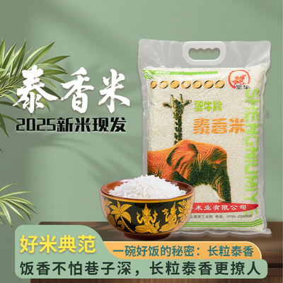 圣牛大米长粒香5kg泰香米丝苗米煲仔饭专用猫牙米农家籼米10斤
