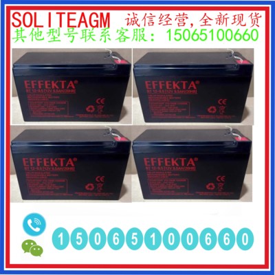 德国EFFEKTA蓄电池BT12-9.5UPS
