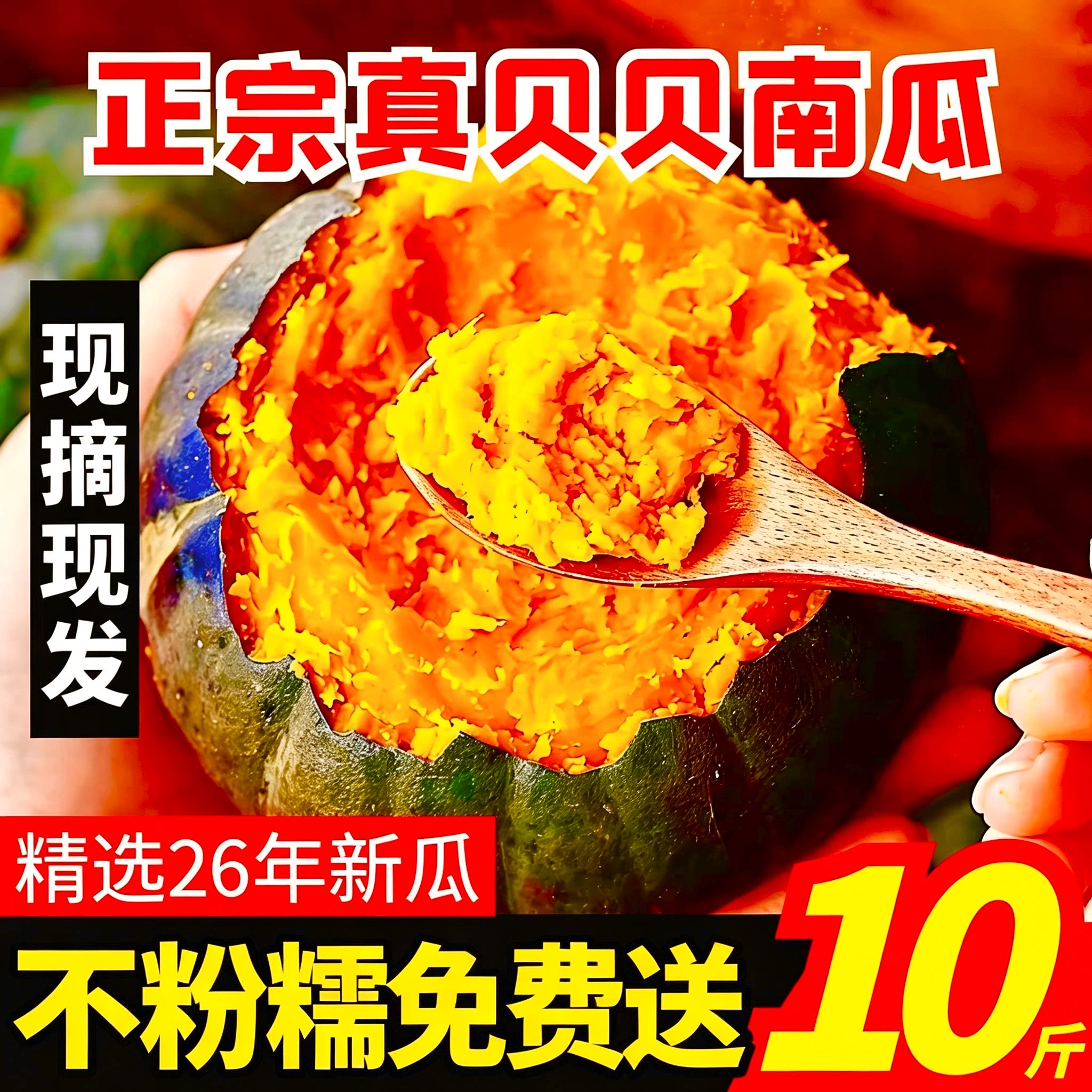 真贝贝南瓜10斤正宗山东新鲜板栗味惠和一号南瓜现摘婴儿孕妇粉糯