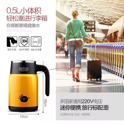 拓璞旅行出差保温烧水壶便携式304迷你电热水壶小型电热杯DK342