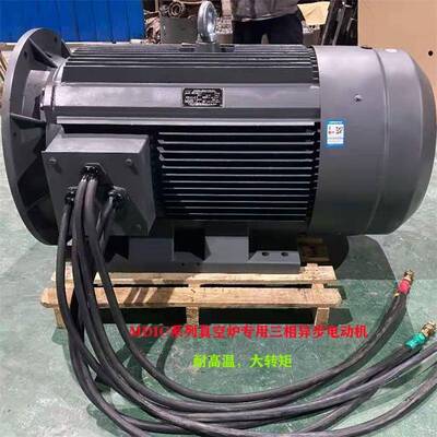 山东淄博厂家直供MDIC355L2-2/315W-B35真空炉三相异步电动机
