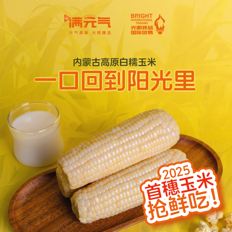 2025年头茬玉米光明满元气内蒙高原白糯玉米新鲜甜糯产地直发