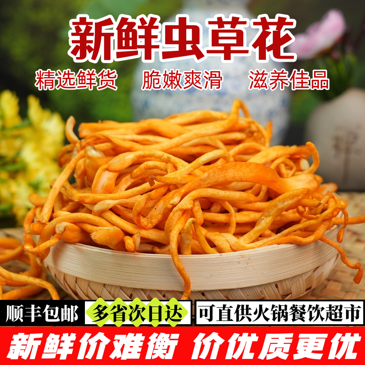 新鲜虫草花【顺丰包邮】当季鲜蛹虫草北虫草滋补佳品煲汤火锅食材