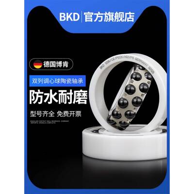 德国BKD进口全陶瓷轴承1205 1206 1207 1208 1209 1210CE/P5