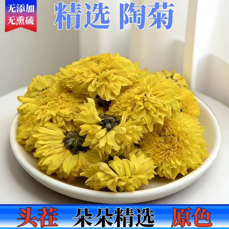陶菊皇菊花小黄菊头茬菊花茶泡水泡茶滋补养生花茶黄山花原色无硫