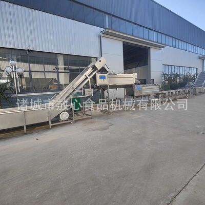 全自动红薯清洗去皮挑拣流水线 土豆红薯双层挑拣输送机