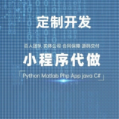 java代码编写Python代编程软件开发计算机小程序C语言前端接单