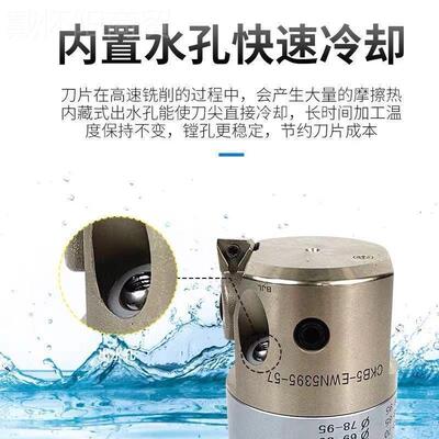 EWN250-47/2-3OHN6/32-60/41-74B 原装CH微调镗刀EWN精镗头/高精