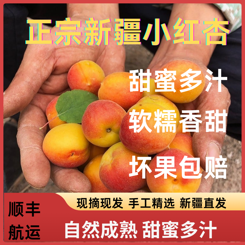 正宗新疆小红杏新疆阿克苏吊干杏特产孕妇新鲜水果新疆吊干杏顺丰