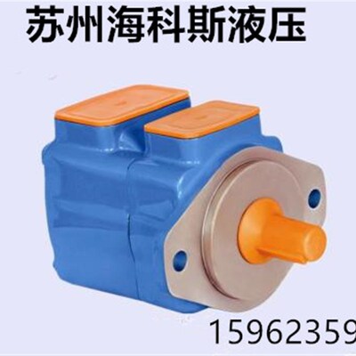 25V-12A-1C22R 25V-17A-1C22R 叶片泵 油泵  19 1D