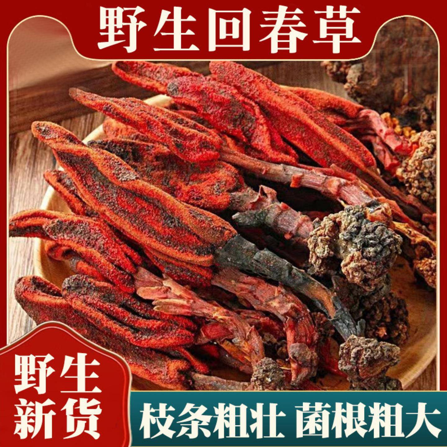 长白山不老草回春草野生不老草草苁蓉泡酒料煲汤料列当泡茶100克