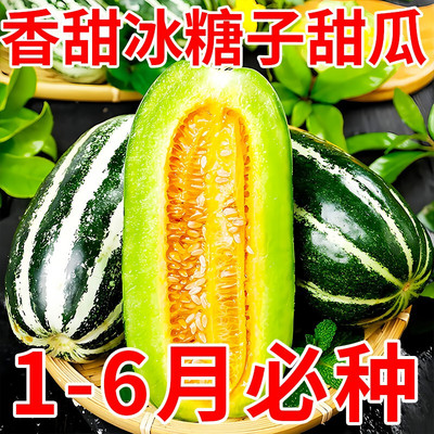 特大甜掉牙花皮甜瓜种子冰糖子香瓜种籽羊角蜜薄皮高产耐热抗病