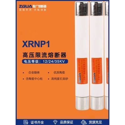 高压限流熔断器XRNP-10/12/7.2KV0.5A1A2A3.15A熔断管24/35KV智广