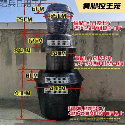 葫防芦蜂王笼黄脚天RUM敌防逃笼马蜂点胡蜂野化控放养定养殖控王