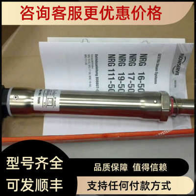 议价 Gestra 杰斯特拉 液位电极 NRG19-50 L=500MM