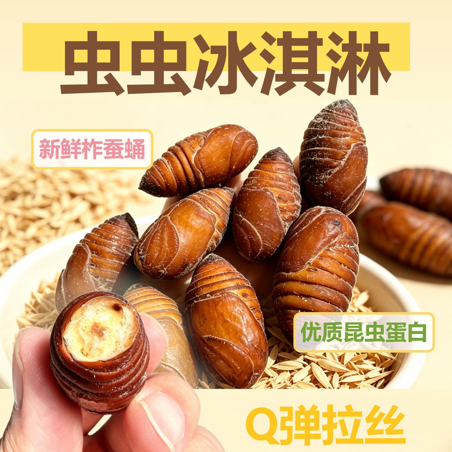 虫虫冰淇淋仓鼠零食新鲜柞蚕蛹零食花枝鼠蜜袋鼯松鼠粮食