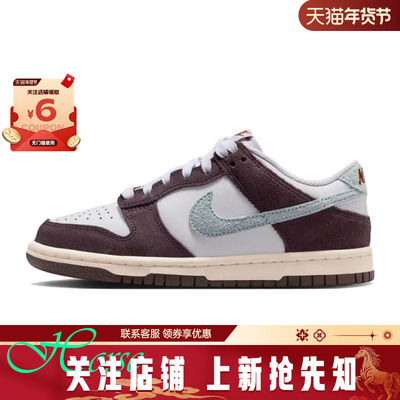 nike耐克大童鞋DUNK运动鞋休闲鞋IB5691-100