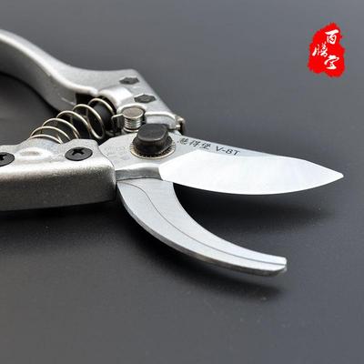 中药剪刀参剪西洋参剪药房用须根剪灵芝鱼胶剪参茸剪药材修剪枝剪