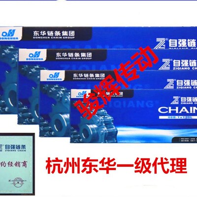 杭州东华自强链条 东华自强三排链06B-3 08B-3 10A 12A 16A 20A-3