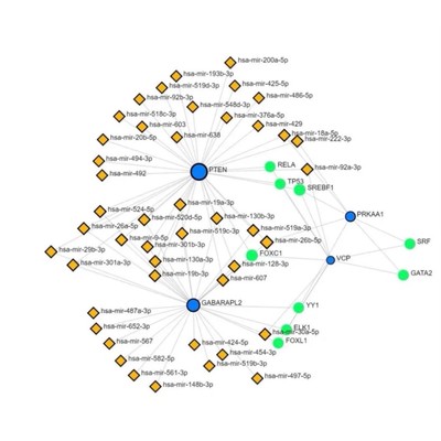 网络药理学专业代做 分子对接cytoscape作图 go kegg富集ppi网络