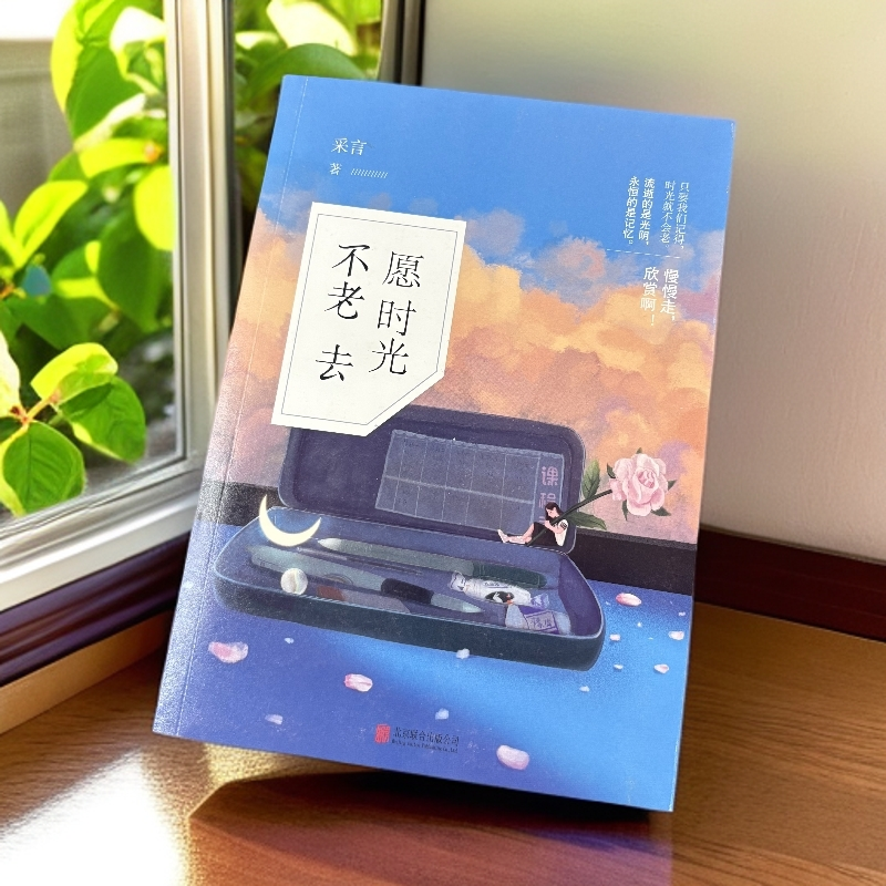 正版书《愿时光不老去》采言著 青春校园文学散文集 致我们终将逝去的大学时光 温暖怀旧治愈系读物 再现大学生活爱情友情成长记忆
